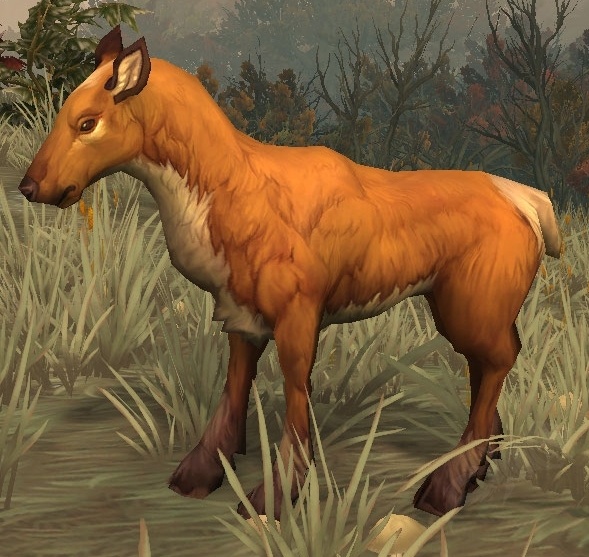 Mountain Doe - NPC - World of Warcraft