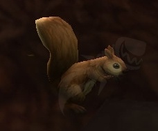 Mountain Squirrel - NPC - World of Warcraft