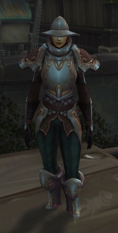Dubious Guard - NPC - World of Warcraft