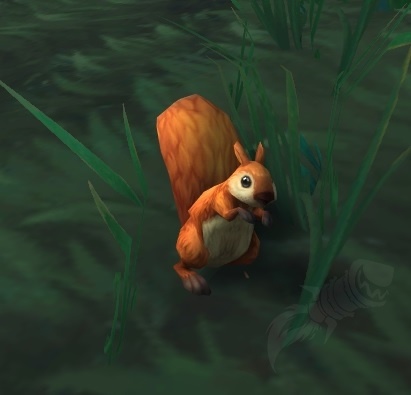 Red Squirrel - NPC - World of Warcraft