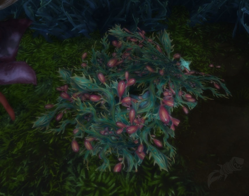 A Cure from the Sea - Quest - World of Warcraft