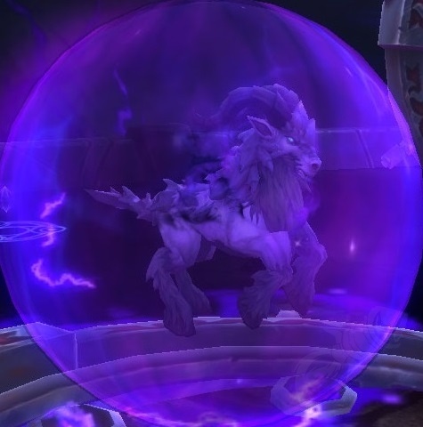 Dazed Chitinbuk - NPC - World of Warcraft