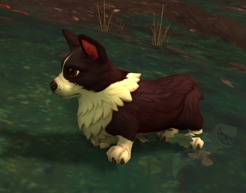 Daisy - NPC - World of Warcraft