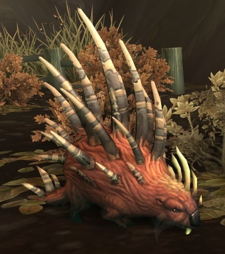 Invasive Quillrat - NPC - World of Warcraft