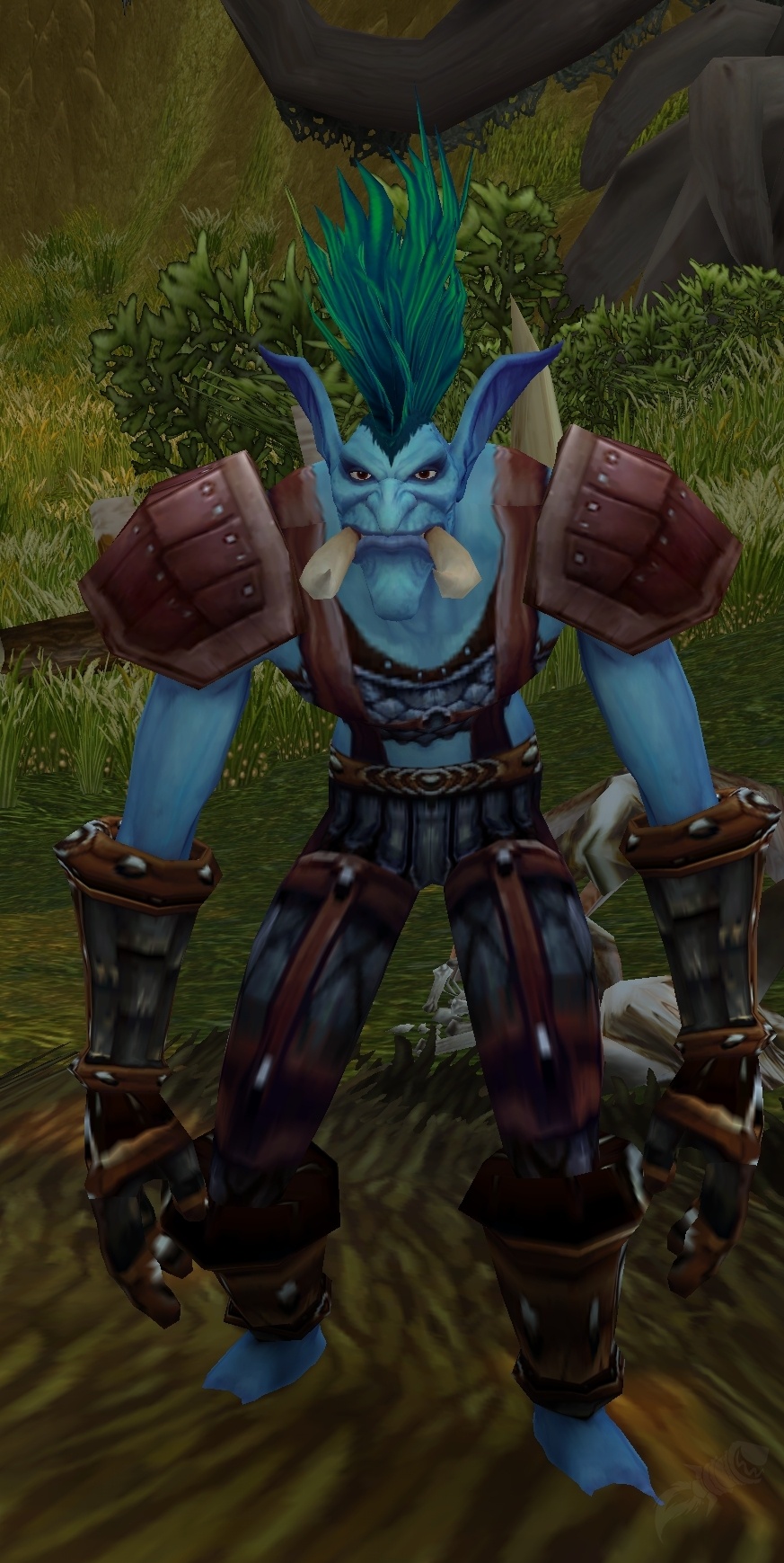 Wodin der Trolldiener - NPC - World of Warcraft