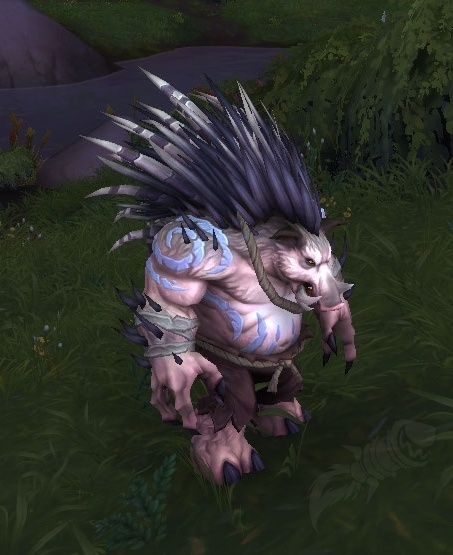 Briarback Boarmaster - NPC - World of Warcraft