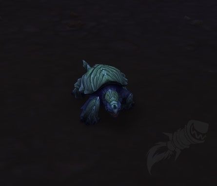 Wetshell Turtle - NPC - World of Warcraft