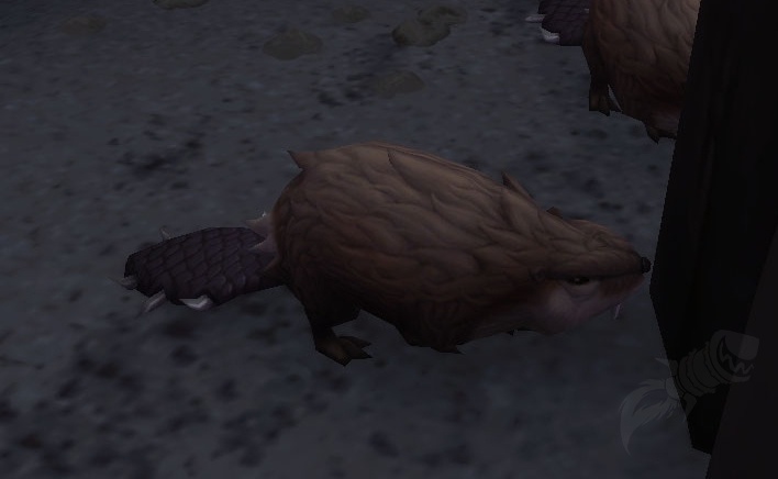 Bucktooth Beaver - NPC - World of Warcraft
