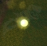 Solar Power - NPC - World of Warcraft