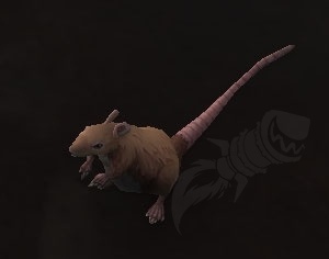 Shiprat - NPC - World of Warcraft