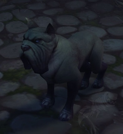 Irontide Mastiff - NPC - World of Warcraft