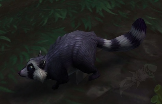 Mountain Raccoon - NPC - World of Warcraft