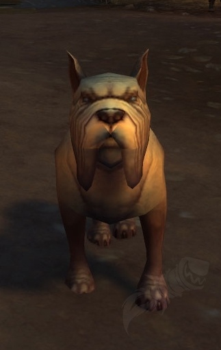 Irontide Mastiff - NPC - World of Warcraft