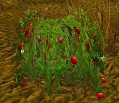 Bloodberry Bush - Object - World of Warcraft