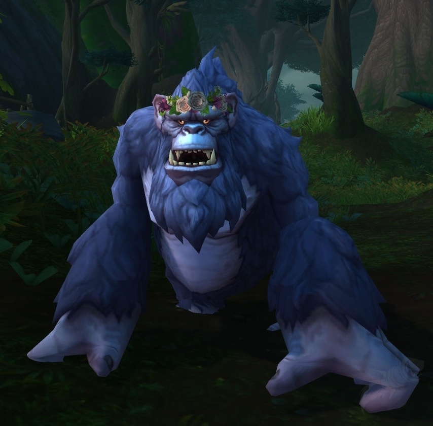 Tsanga - PNJ - World of Warcraft