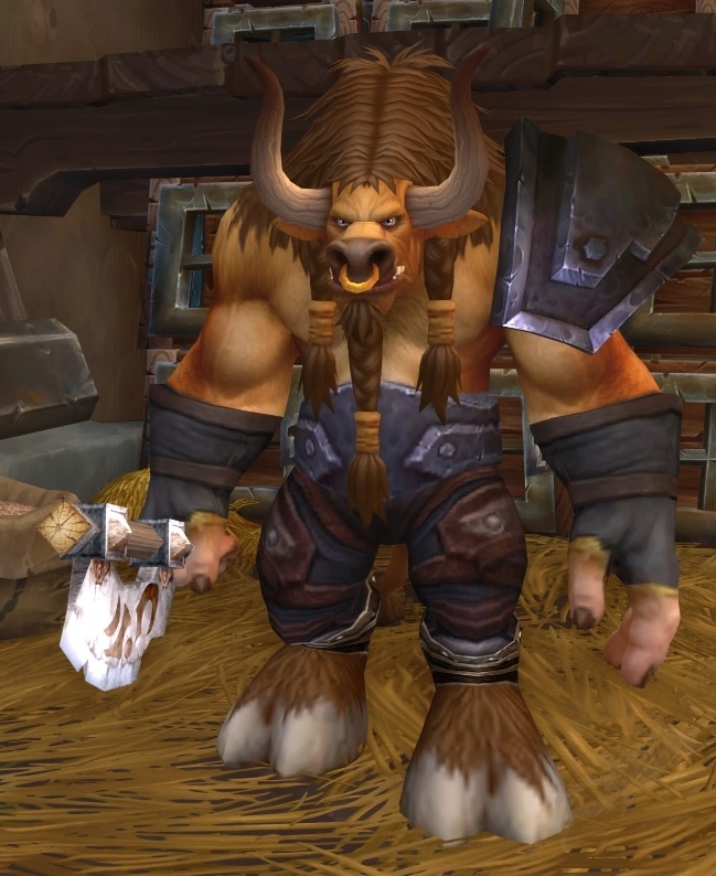 Yoska Rainsinger - NPC - World of Warcraft