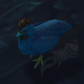 Pollo - PNJ - World of Warcraft
