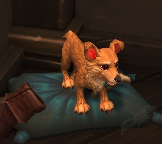 Ellie - NPC - World of Warcraft