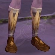 Cenarion Boots - Item - World of Warcraft