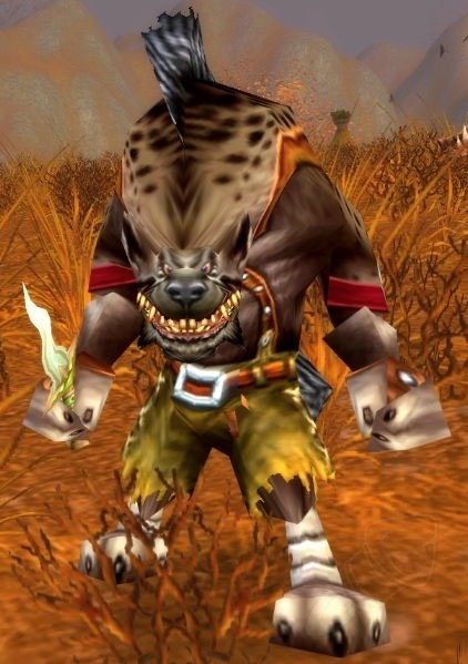 Riverpaw Bandit - NPC - WotLK Classic