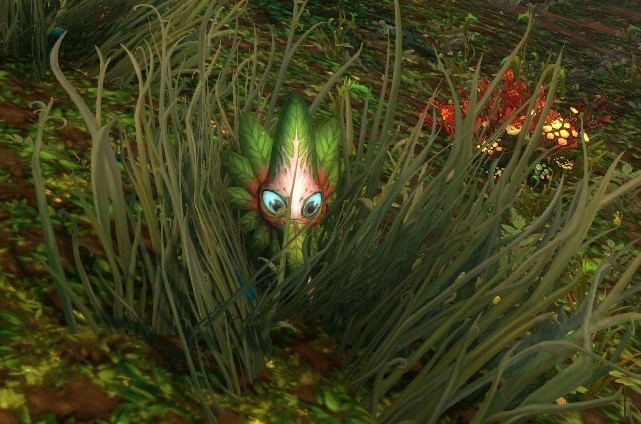 Noxious Sproutling - NPC - World of Warcraft