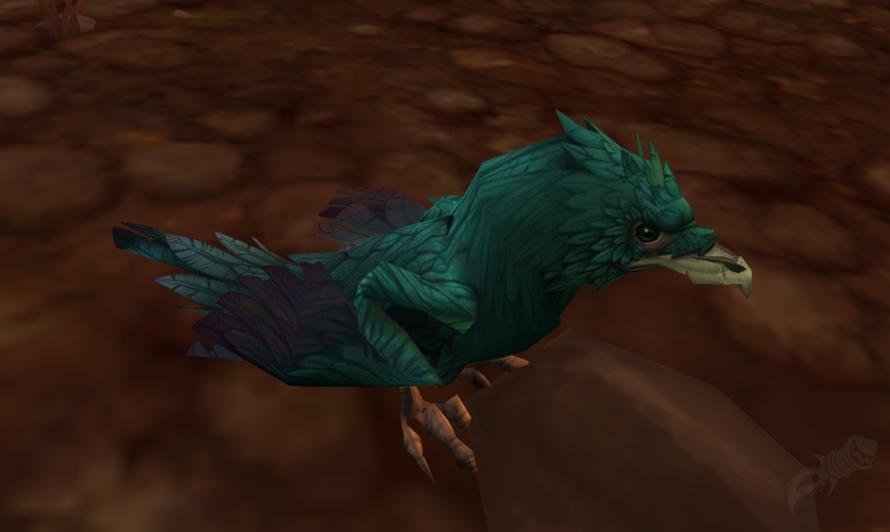 Harbor Raven - NPC - World of Warcraft