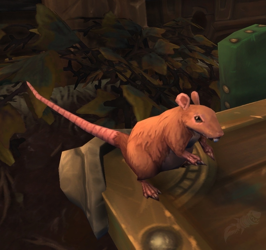 Ratte - NPC - World of Warcraft