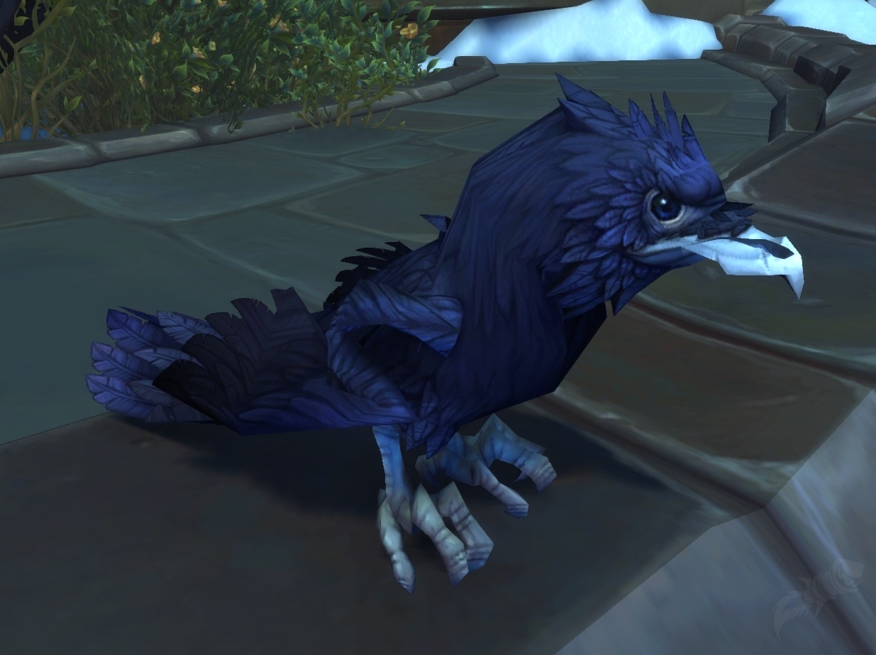 Gorging Raven - NPC - World of Warcraft