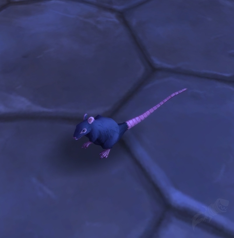 Shipyard Rat - NPC - World of Warcraft