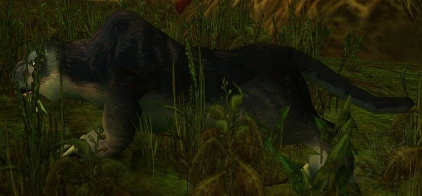 Shadow Panther - NPC - Classic World of Warcraft