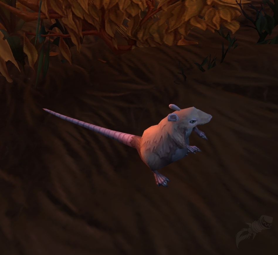Disgusting Rat - NPC - World of Warcraft