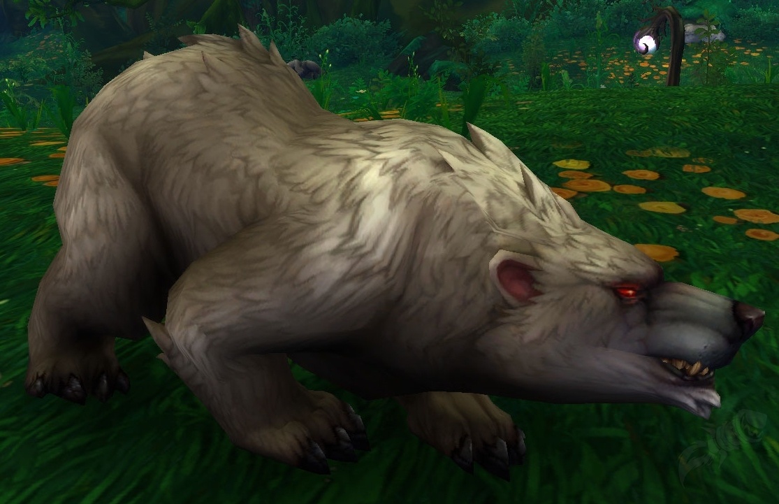 Vale Bear - NPC - World of Warcraft