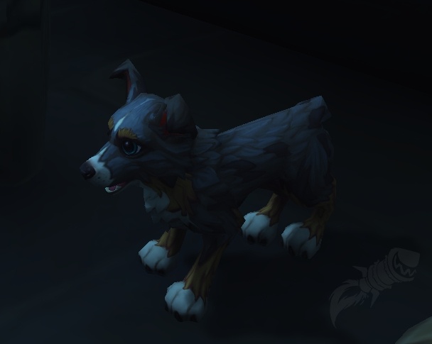 Dori - NPC - World of Warcraft