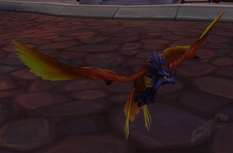 Kaliri feu-solaire - PNJ - World of Warcraft