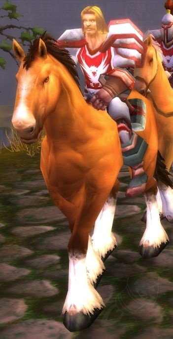 Lieutenant Valorcall - NPC - WotLK Classic