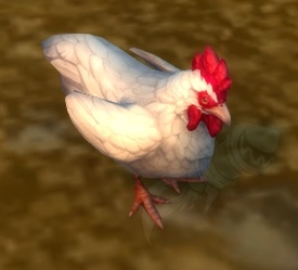 Chicken - NPC - World of Warcraft