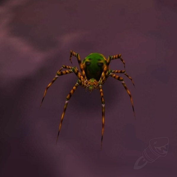 Araña - PNJ - World of Warcraft Clásico