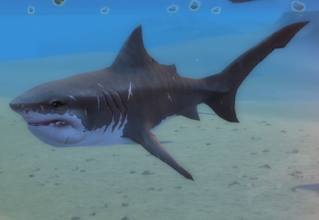 Daggertooth Shark - NPC - World of Warcraft