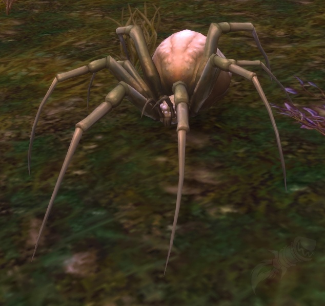 Young Night Web Spider - NPC - World of Warcraft
