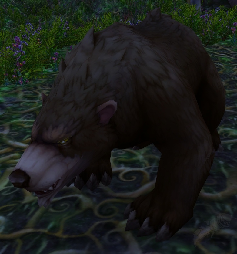 Ashenvale Bear - NPC - World of Warcraft