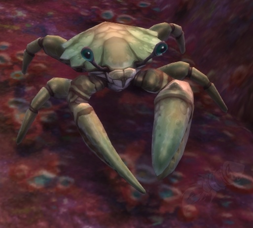 Enraged Reef Crawler - NPC - World of Warcraft