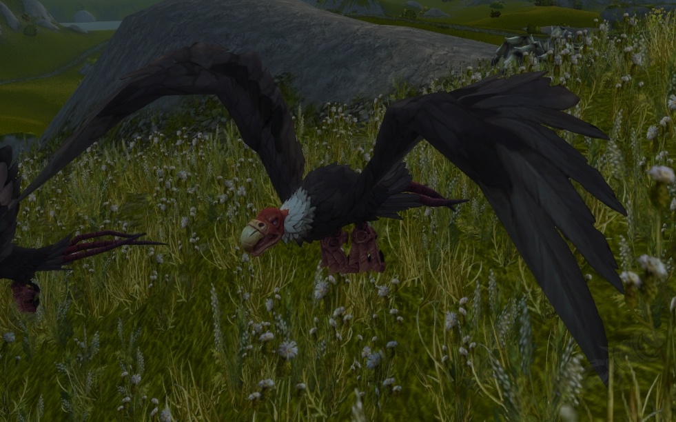 Young Mesa Buzzard - NPC - World of Warcraft