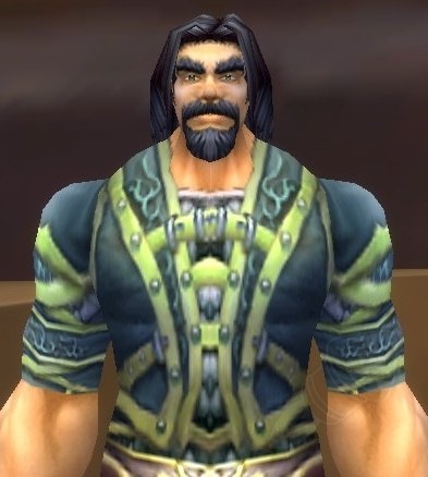 Wams des Reisenden - Gegenstand - World of Warcraft
