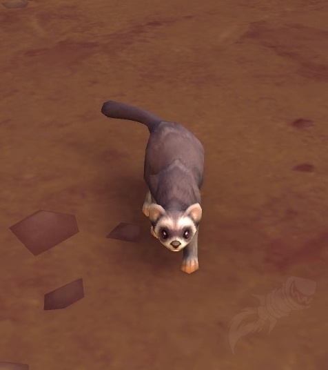 Poda - NPC - World of Warcraft