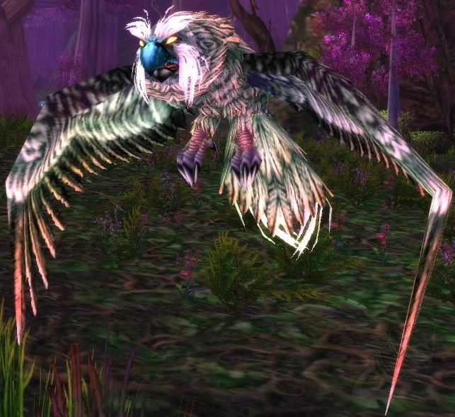 Lechuza estrígida - PNJ - World of Warcraft Clásico