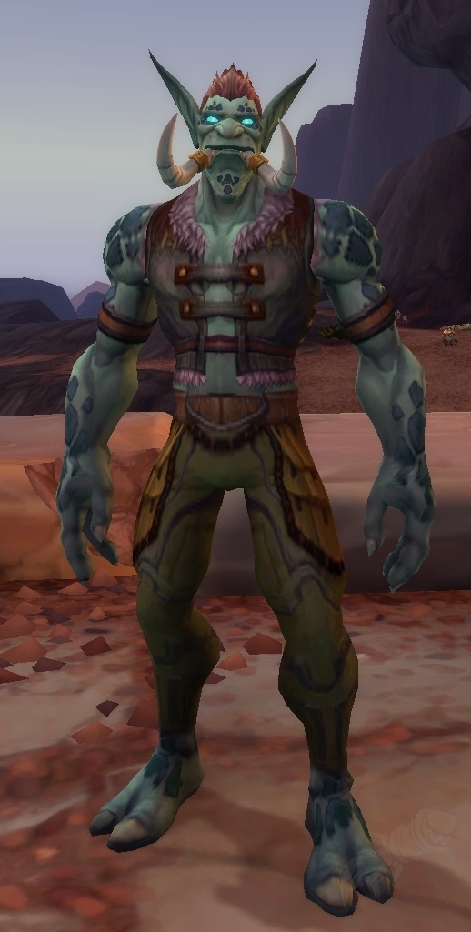 Akunda the Tamer - NPC - World of Warcraft