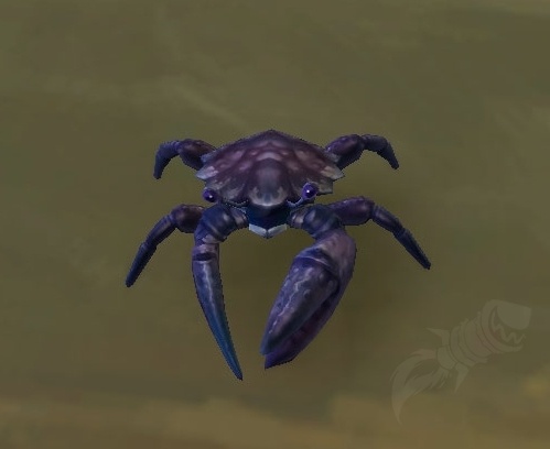 Coastal Scuttler - NPC - World of Warcraft