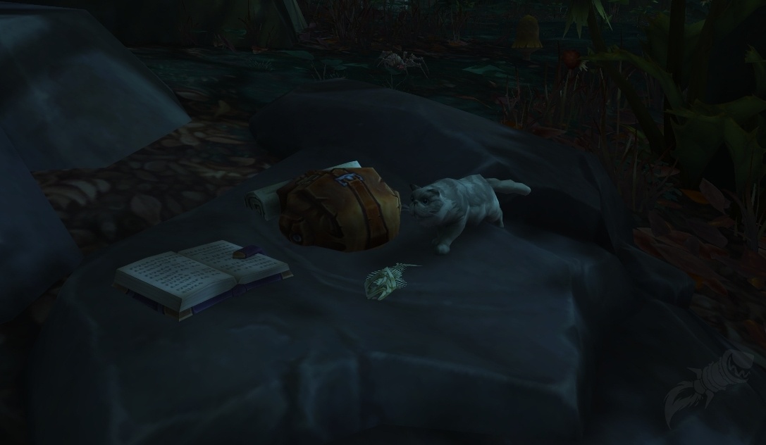 Kitty? - Quest - World of Warcraft