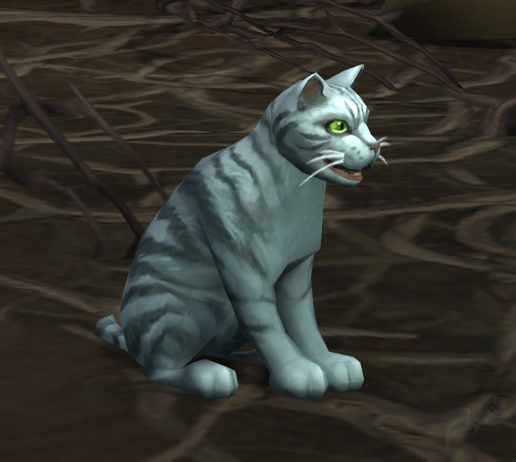 Wandering Mouser - NPC - World of Warcraft