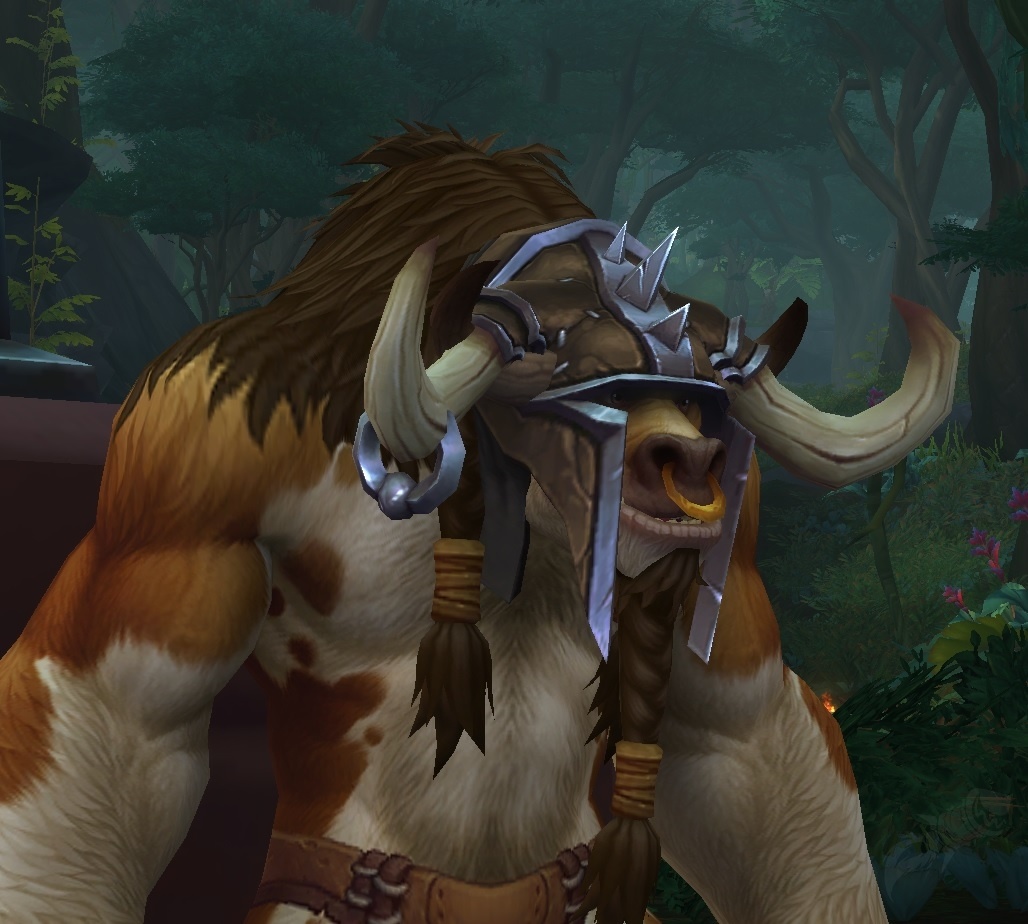 Heaume de guerre vrykul marchandé - Objet - World of Warcraft